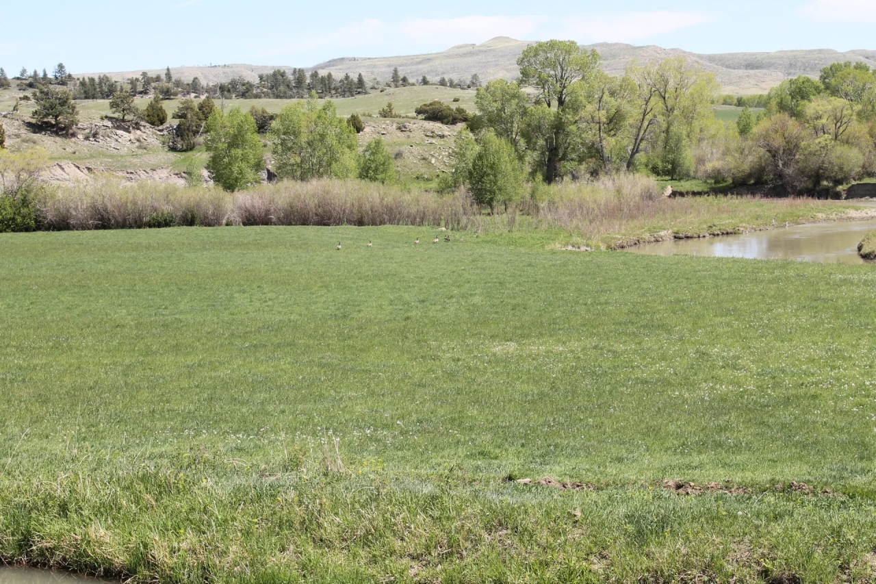 Big Spring Ranch - Hunting Land for Sale - HuntingLocator.com ...