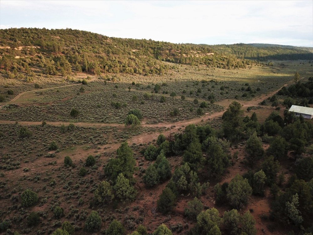 Jicarilla Ranch - Hunting Land for Sale - HuntingLocator.com ...