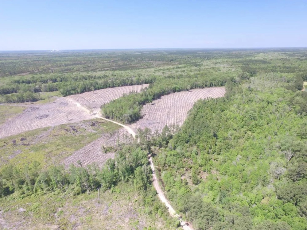 Long County Jones Creek Tract - Hunting Land for Sale - HuntingLocator ...