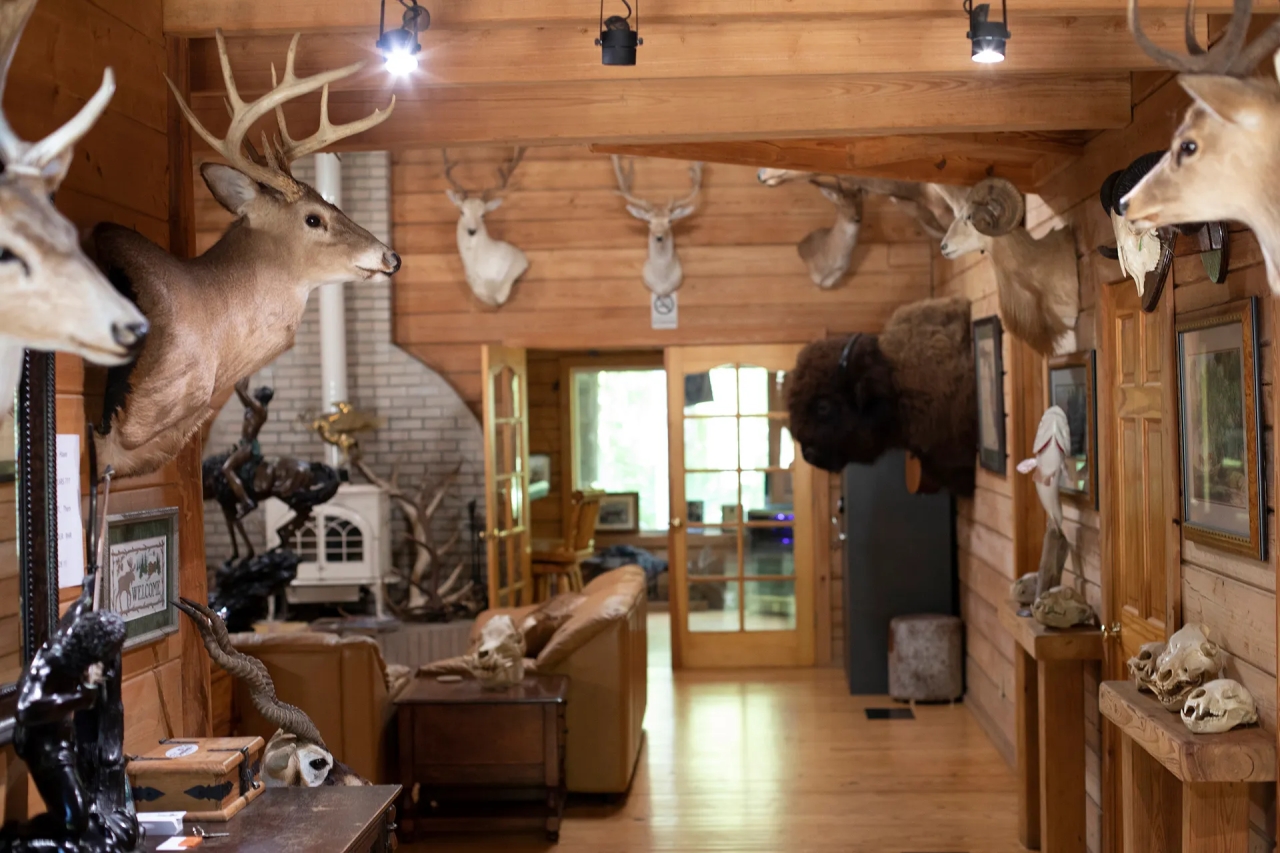 Ross Hammock Ranch - Hunting Land for Sale - HuntingLocator.com ...