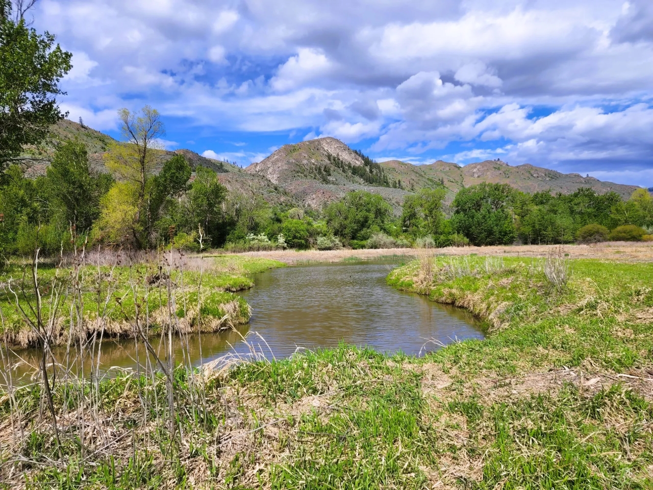 Horseshoe Lake River Ranch - Hunting Land for Sale - HuntingLocator.com ...