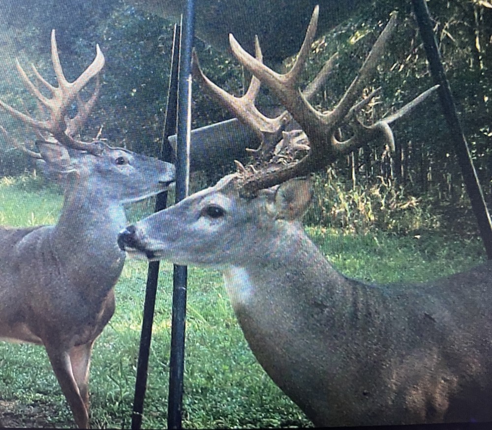 LA - Catahoula 247 acres - - Hunting Land for Sale - HuntingLocator.com ...