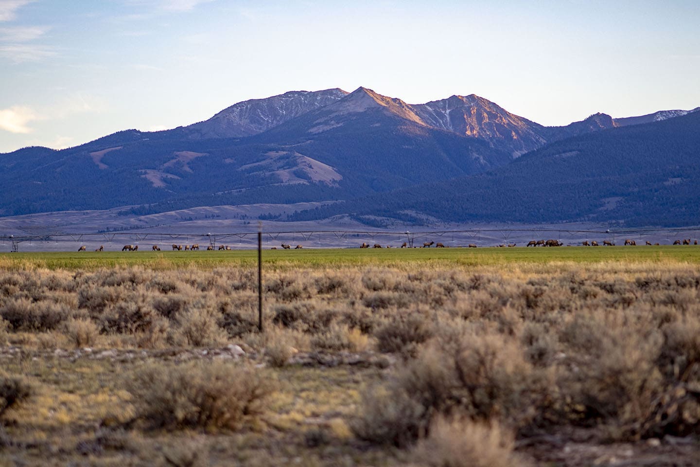 Little Eight Mile Ranch on the Lemhi River - Hunting Land for Sale ...