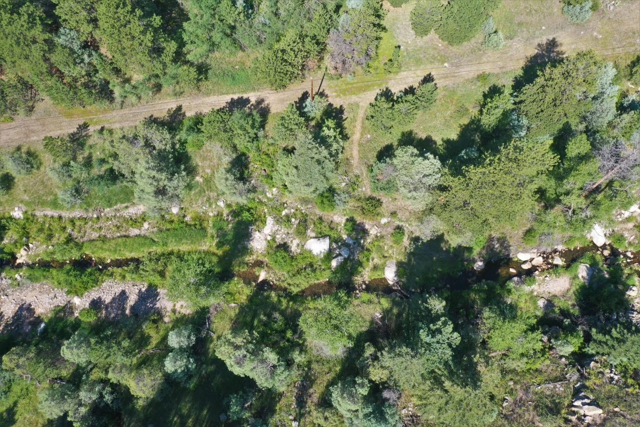 Little Thompson River Homestead - Hunting Land for Sale ...