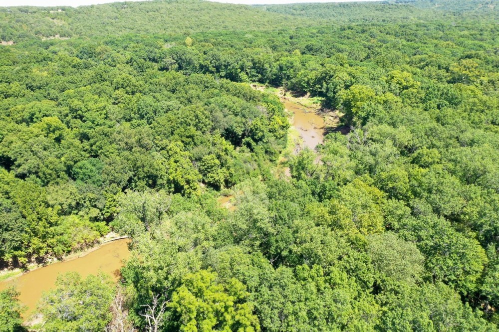 Deep Fork 160 - Hunting Land for Sale - HuntingLocator.com ...