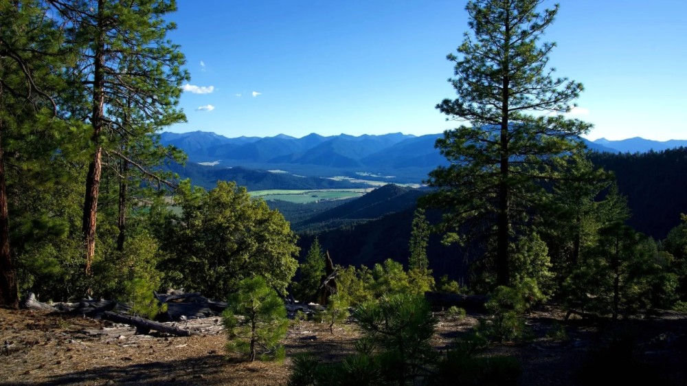 Fort Jones Frontier - Hunting Land for Sale - HuntingLocator.com ...