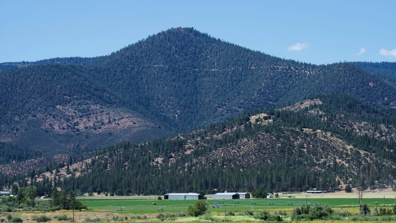 Fort Jones Frontier - Hunting Land for Sale - HuntingLocator.com ...