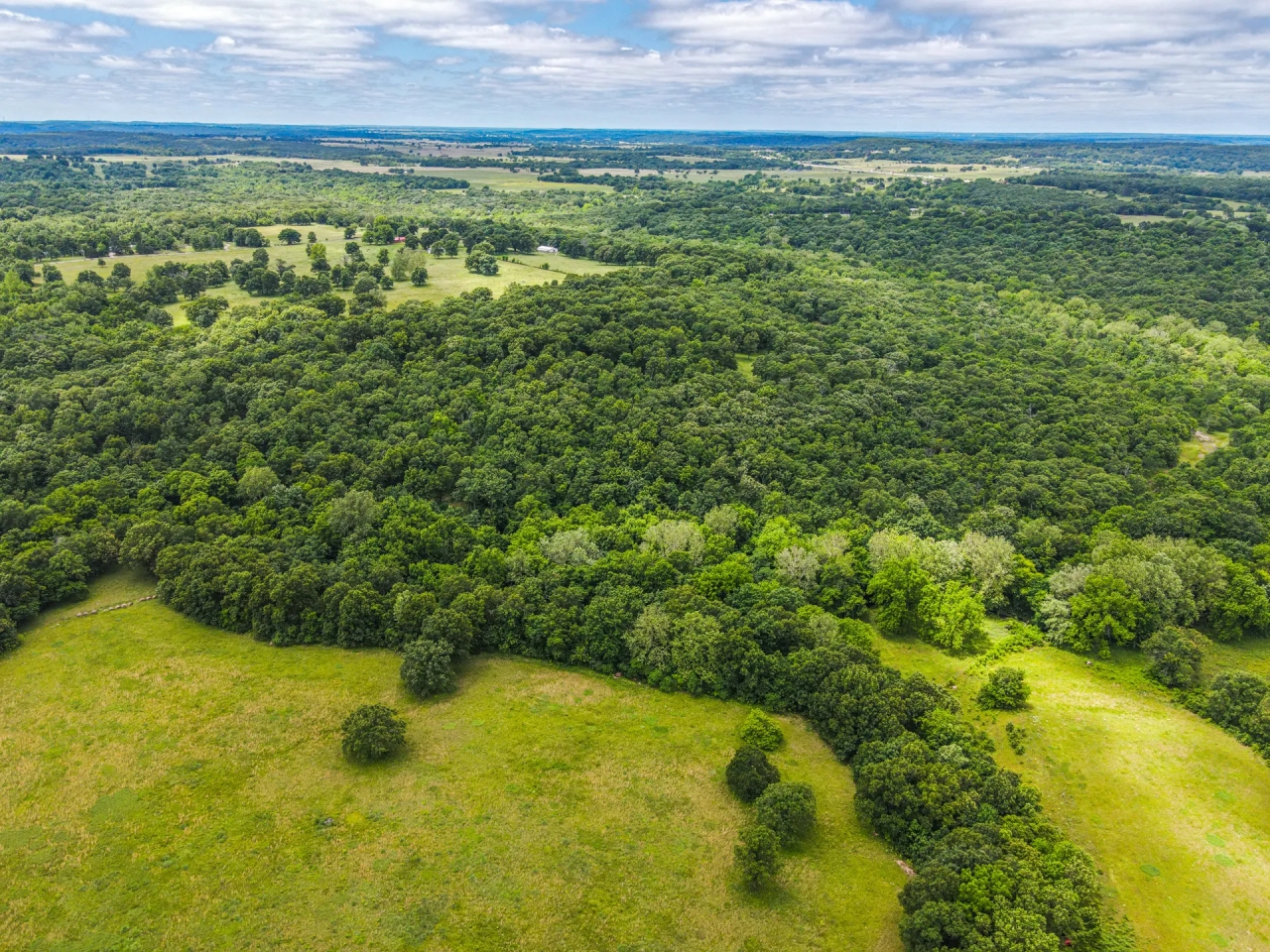 Private Hunting Preserve on 82 - Acres - Hunting Land for Sale ...