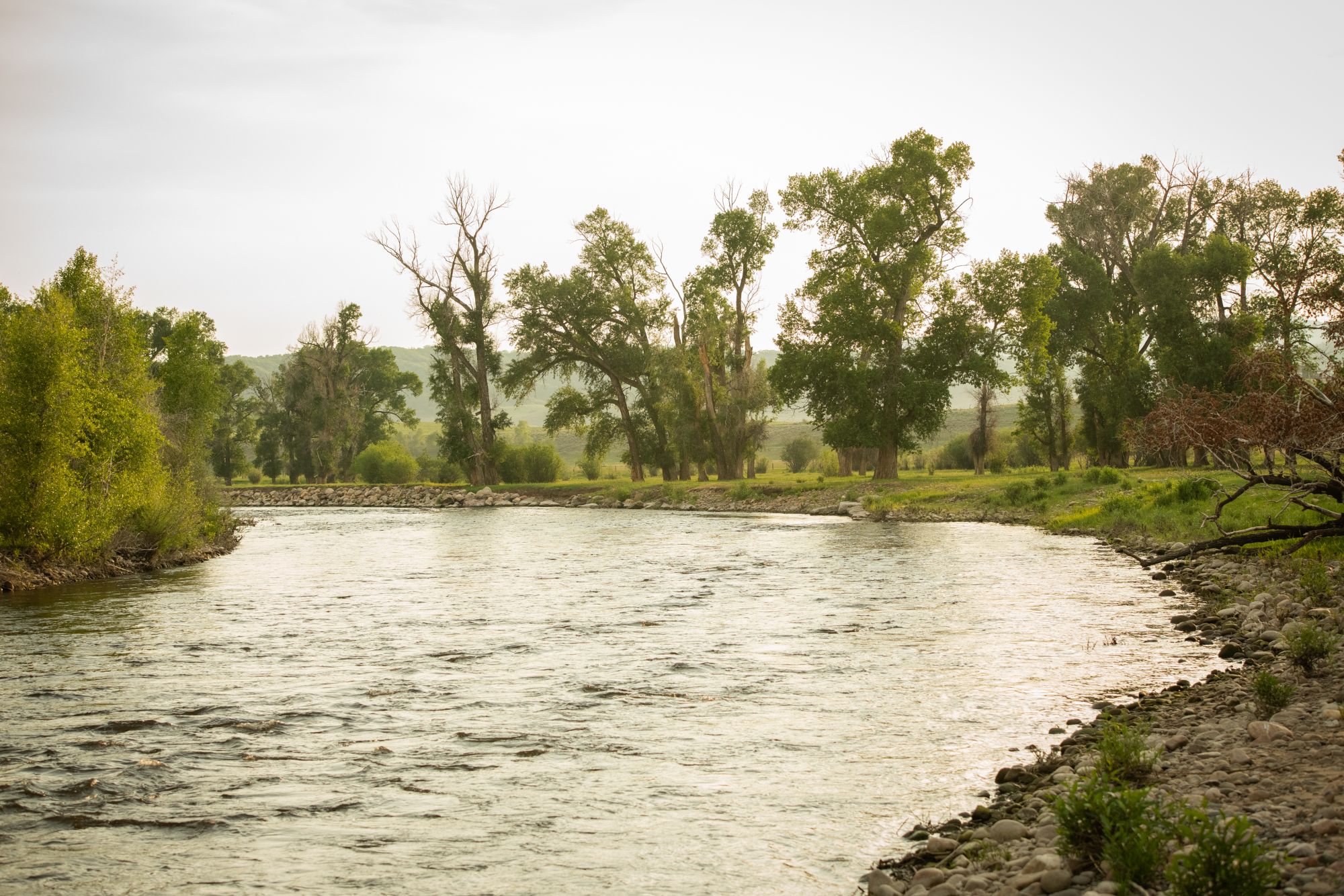 Slash Broken Box Ranch - Hunting Land for Sale - HuntingLocator.com ...