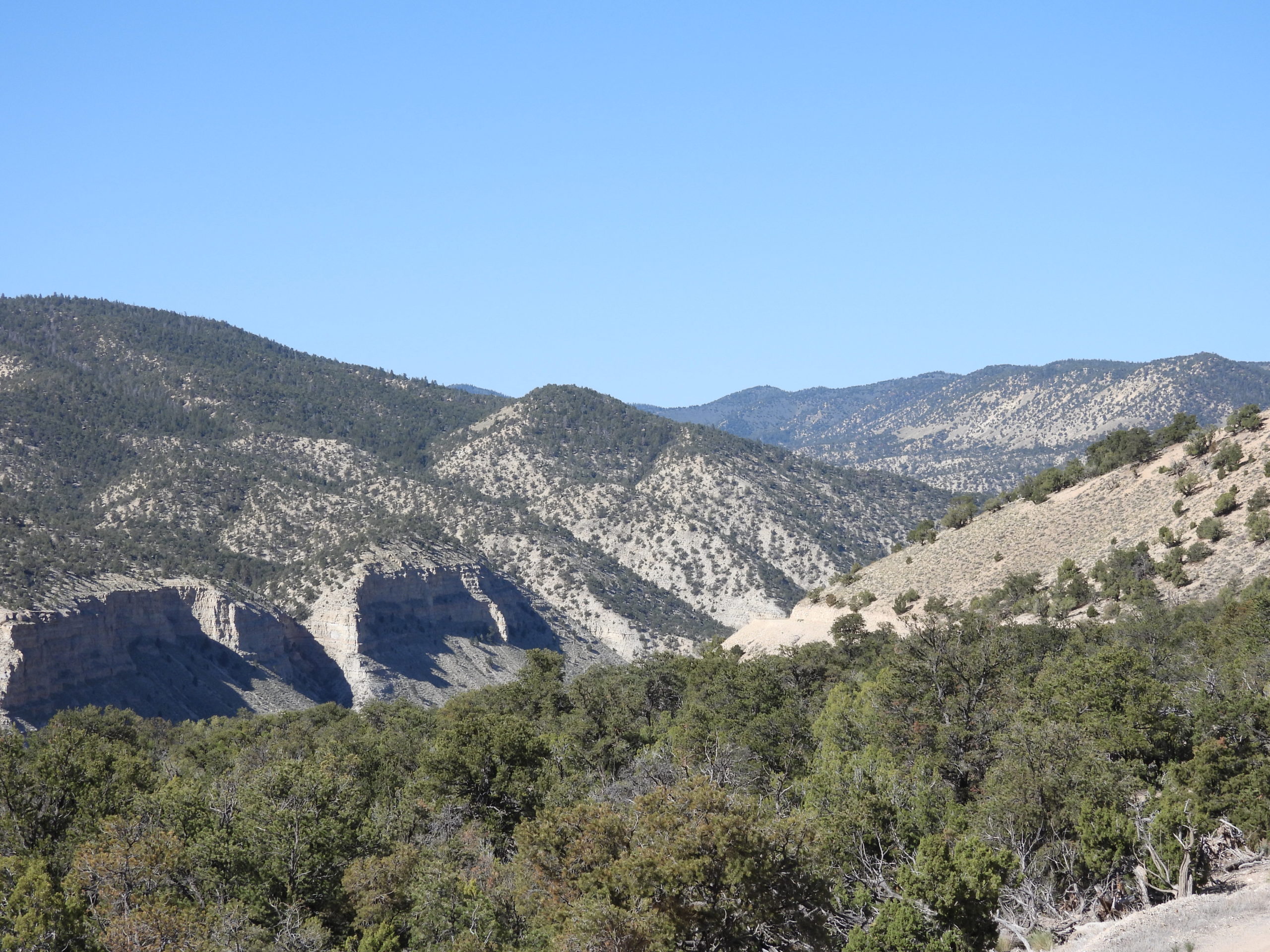 Strawberry River Road Overlook - Hunting Land for Sale - HuntingLocator ...