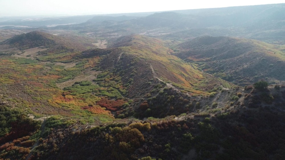 Warren Hunting Ranch - Hunting Land for Sale - HuntingLocator.com ...