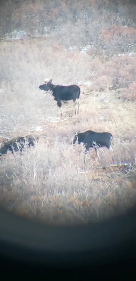 Warren Hunting Ranch - Hunting Land for Sale - HuntingLocator.com ...