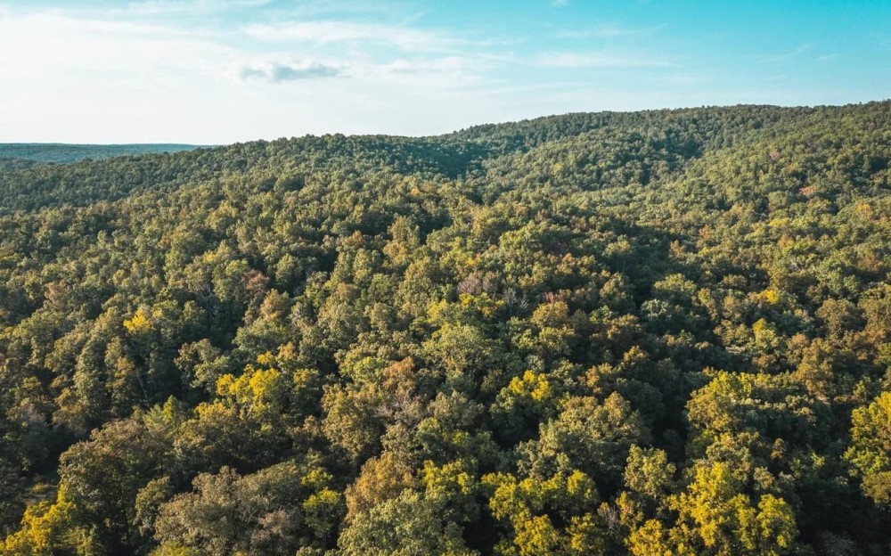 Grubb Holler - Hunting Land for Sale - HuntingLocator.com ...