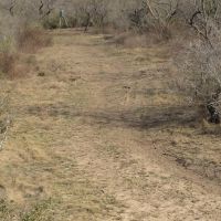 Uvalde County, Texas Hunting and Deer Leases - HuntingLocator.com