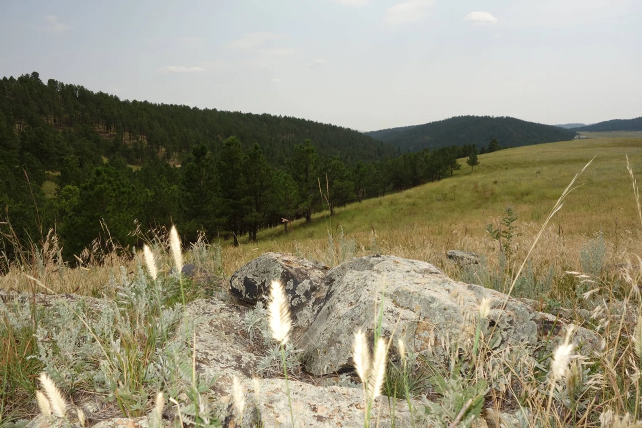 Timber Ridge Ranch - Hunting Land for Sale - HuntingLocator.com ...