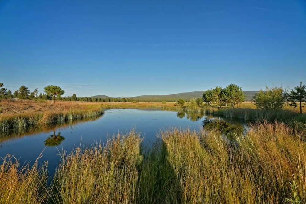Jackson Creek Ranch - Hunting Land for Sale - HuntingLocator.com ...