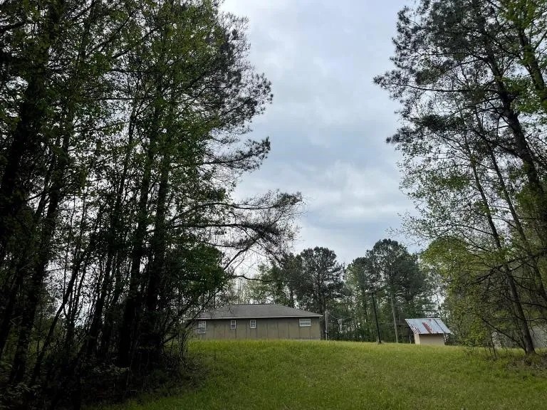 32 Acres With a Camp in Jasper County in Heidelberg MS - Hunting Land ...