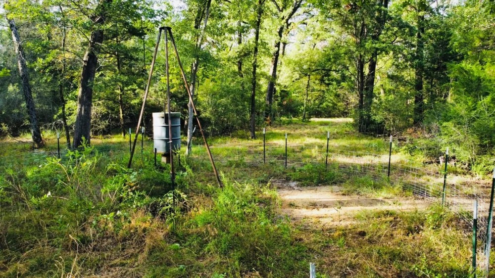 83 Acre Recreational Hunting Property Anderson County - Hunting Land ...