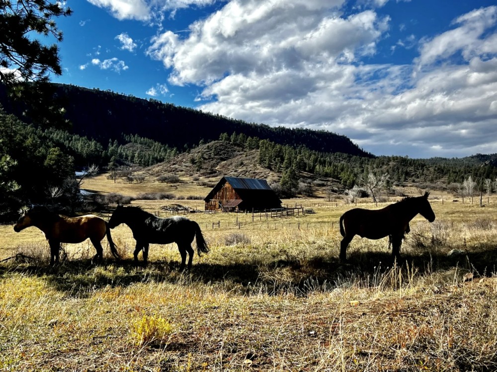 Yellow Jacket Creek Ranch - Hunting Land for Sale - HuntingLocator.com ...