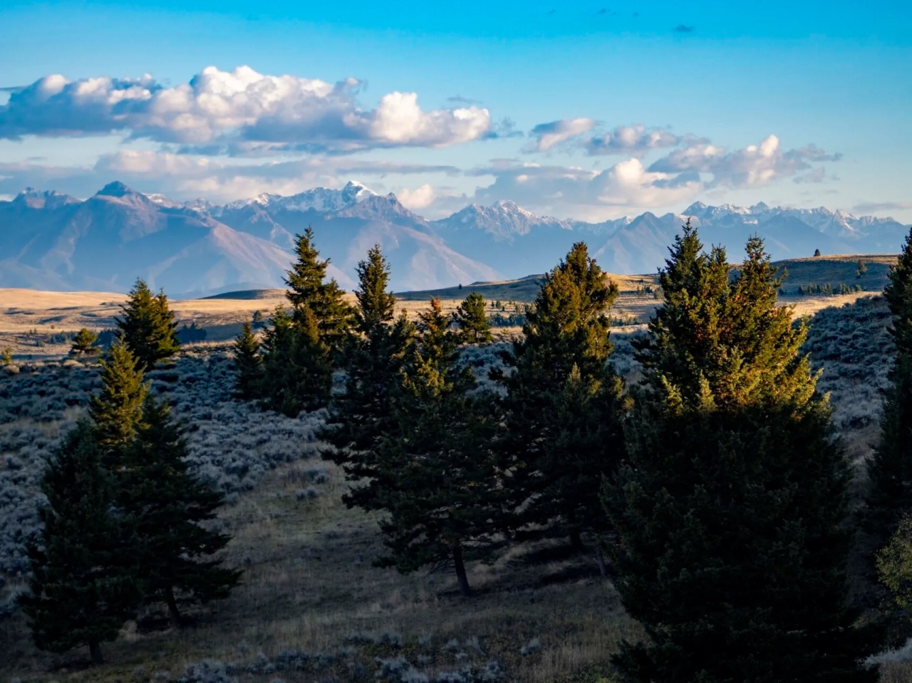 The Reserve br at Willow Creek Ranch 3 - Hunting Land for Sale ...