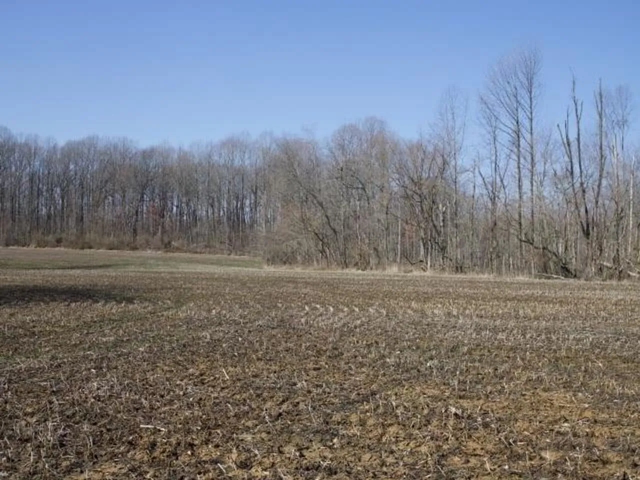 70 Acres Near Sullivan Lake - Hunting Land for Sale - HuntingLocator ...