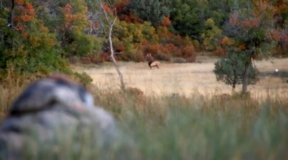 Mundy Ranch - Hunting Land for Sale - HuntingLocator.com ...