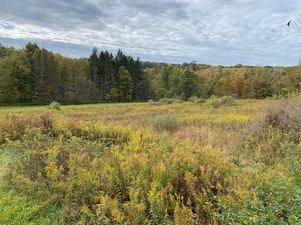 The Corridor - Hunting Land for Sale - HuntingLocator.com - HuntingLocator.com