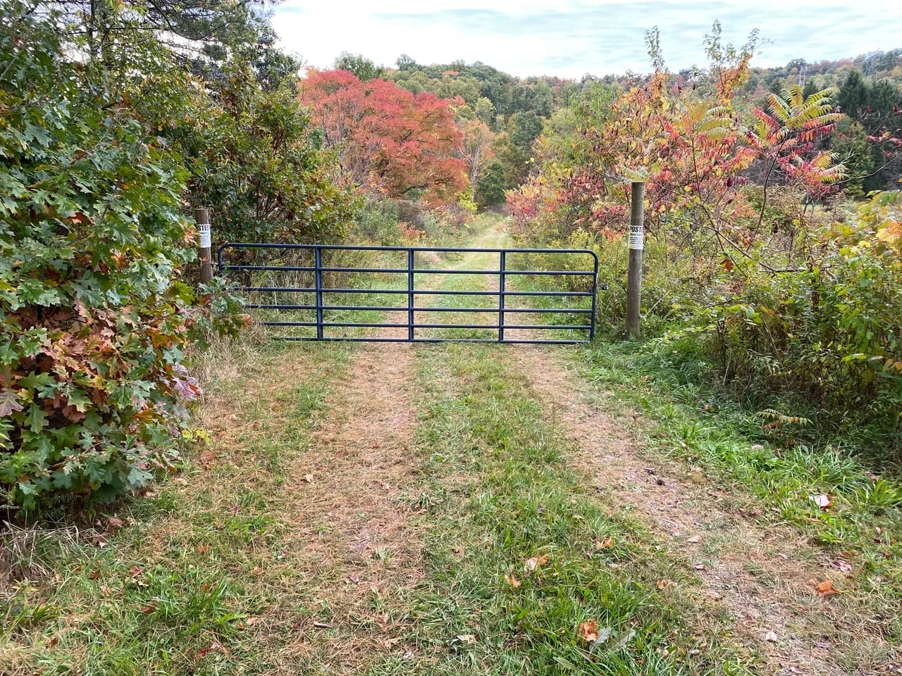 The Corridor - Hunting Land for Sale - HuntingLocator.com - HuntingLocator.com
