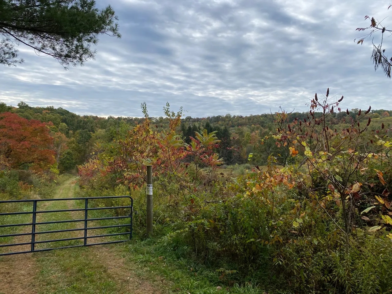 The Corridor - Hunting Land for Sale - HuntingLocator.com - HuntingLocator.com