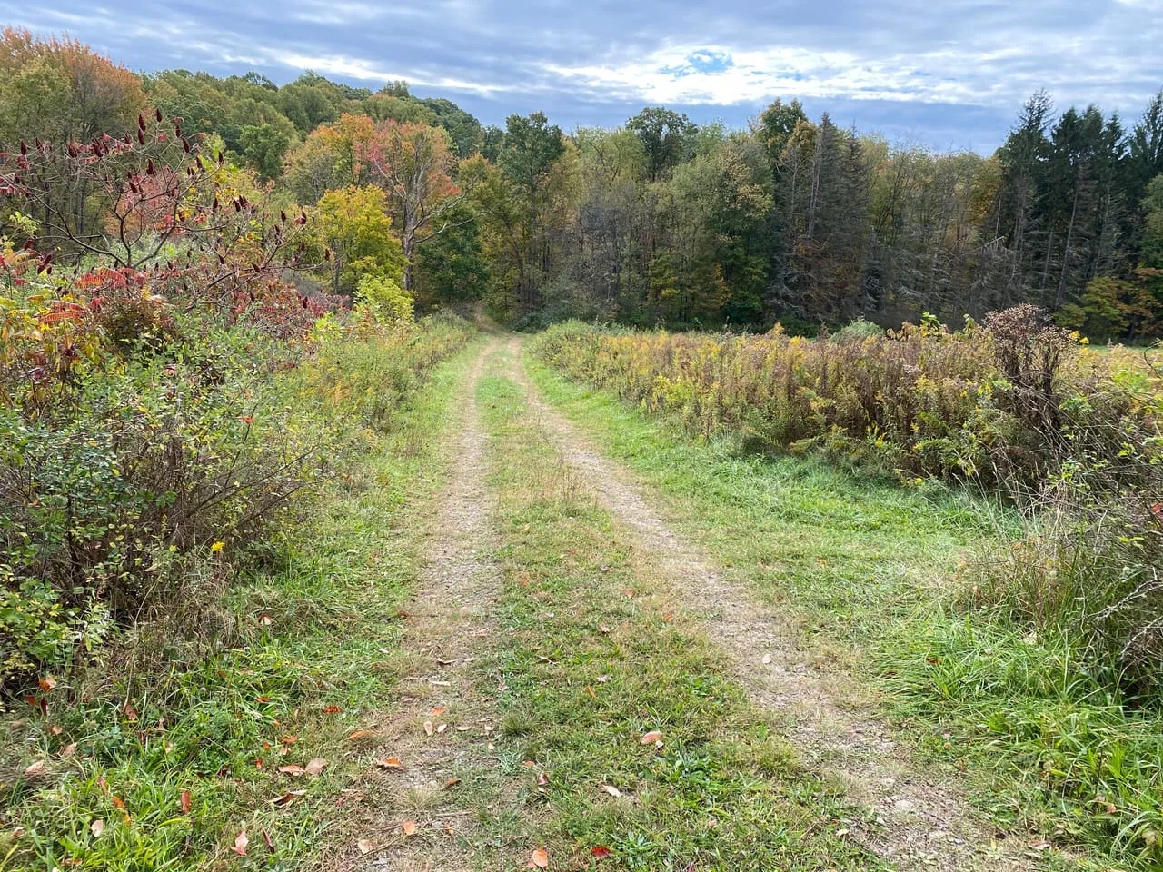 The Corridor - Hunting Land for Sale - HuntingLocator.com - HuntingLocator.com