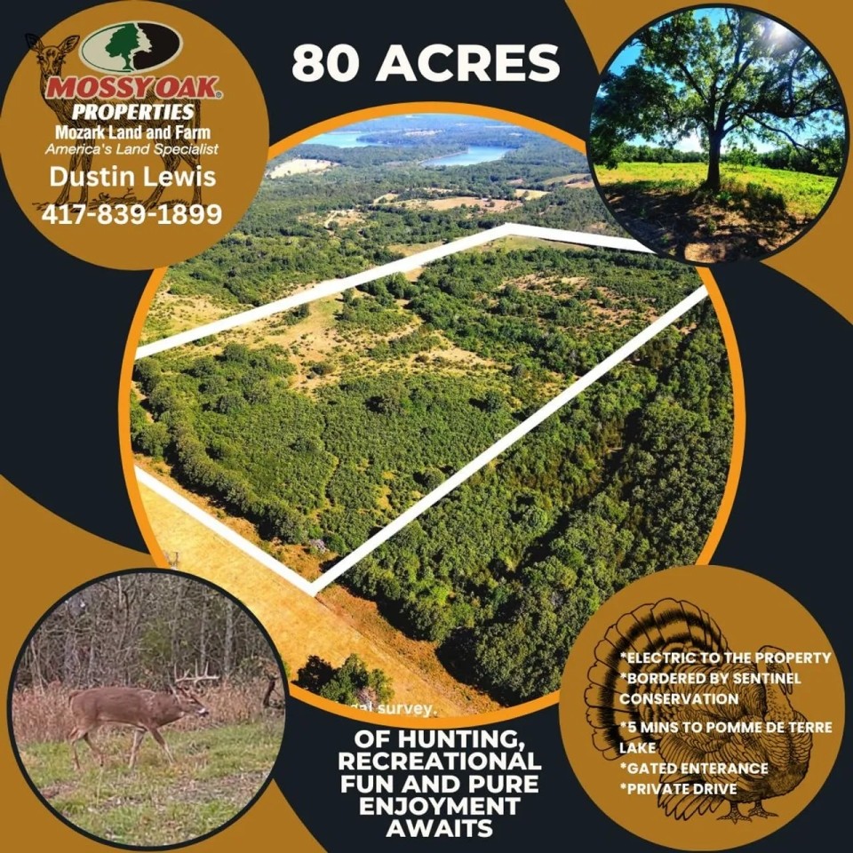 80 Acres by Pomme De Terre Lake - Hunting Land for Sale ...