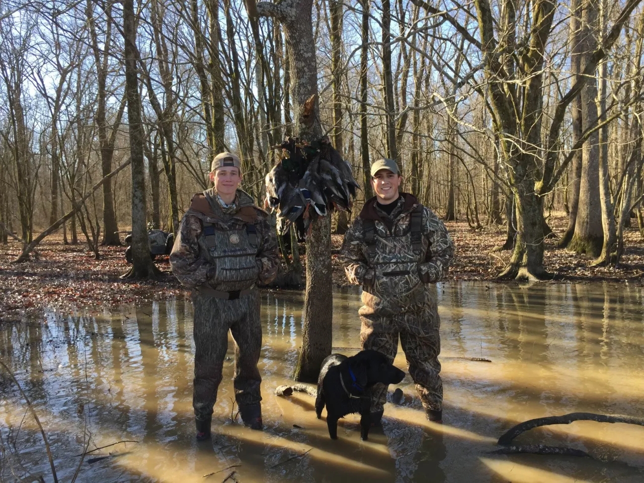 1445 Acres 5 Star Hunting Club in Carroll County in Carrollton MS ...