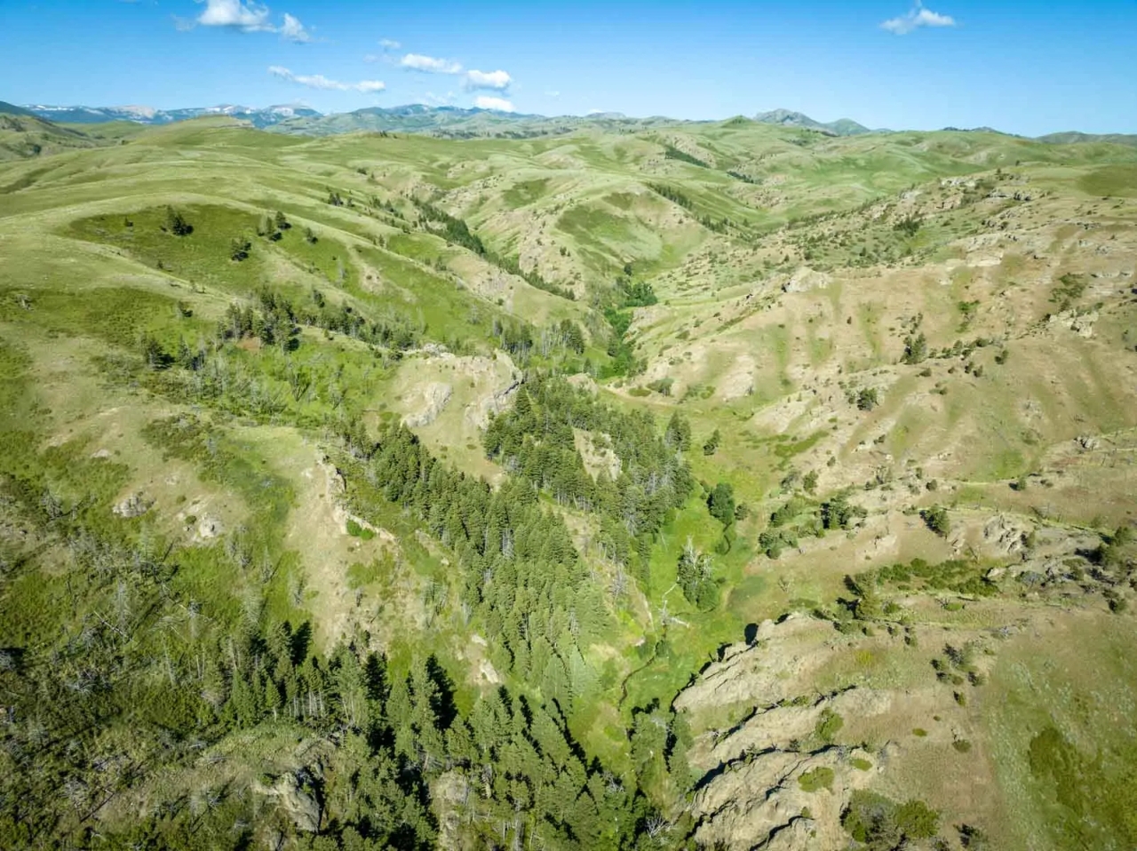 Flying C Ranch - Hunting Land for Sale - HuntingLocator.com ...