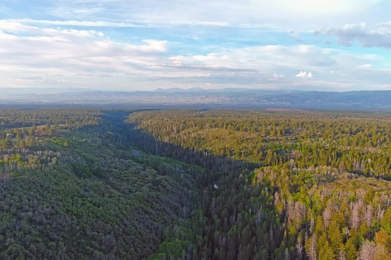 Government Springs Ranch - Hunting Land for Sale - HuntingLocator.com ...