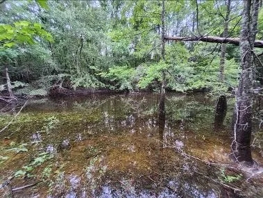 66 Acres in Jefferson Davis in Oak Vale MS - Hunting Land for Sale ...