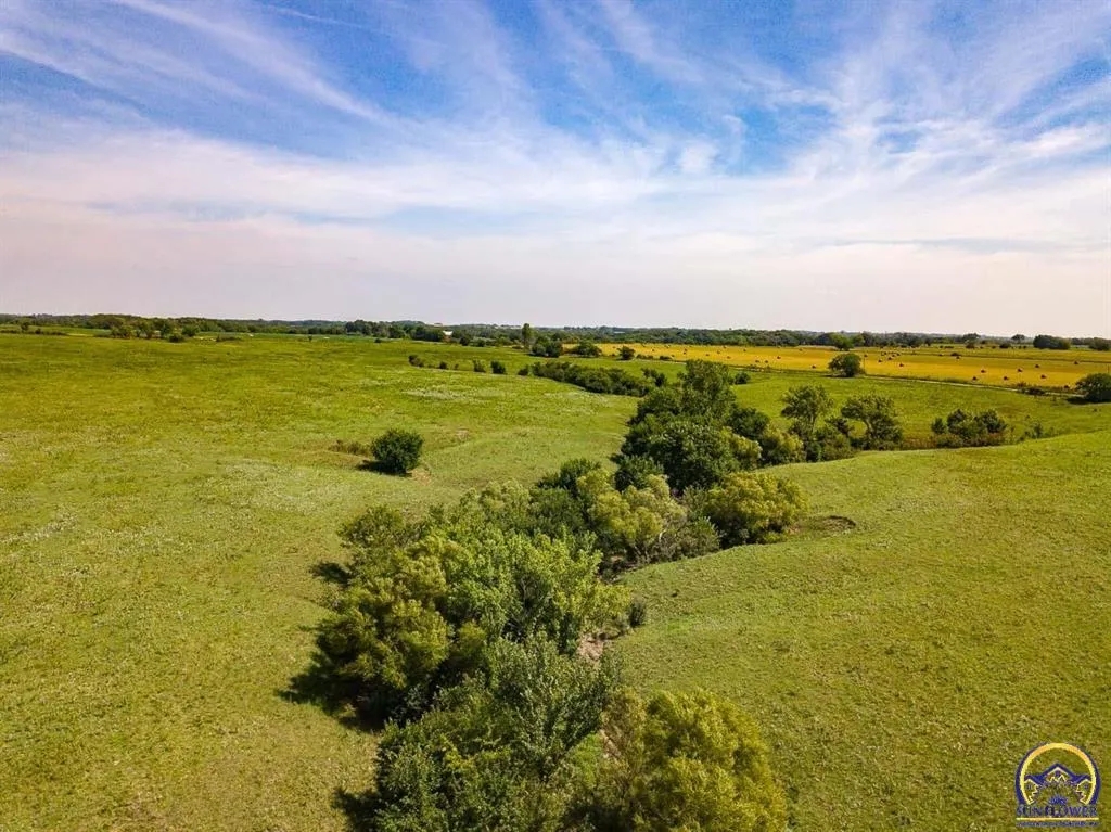 Beautiful Kansas Native Grass - Hunting Land for Sale - HuntingLocator ...