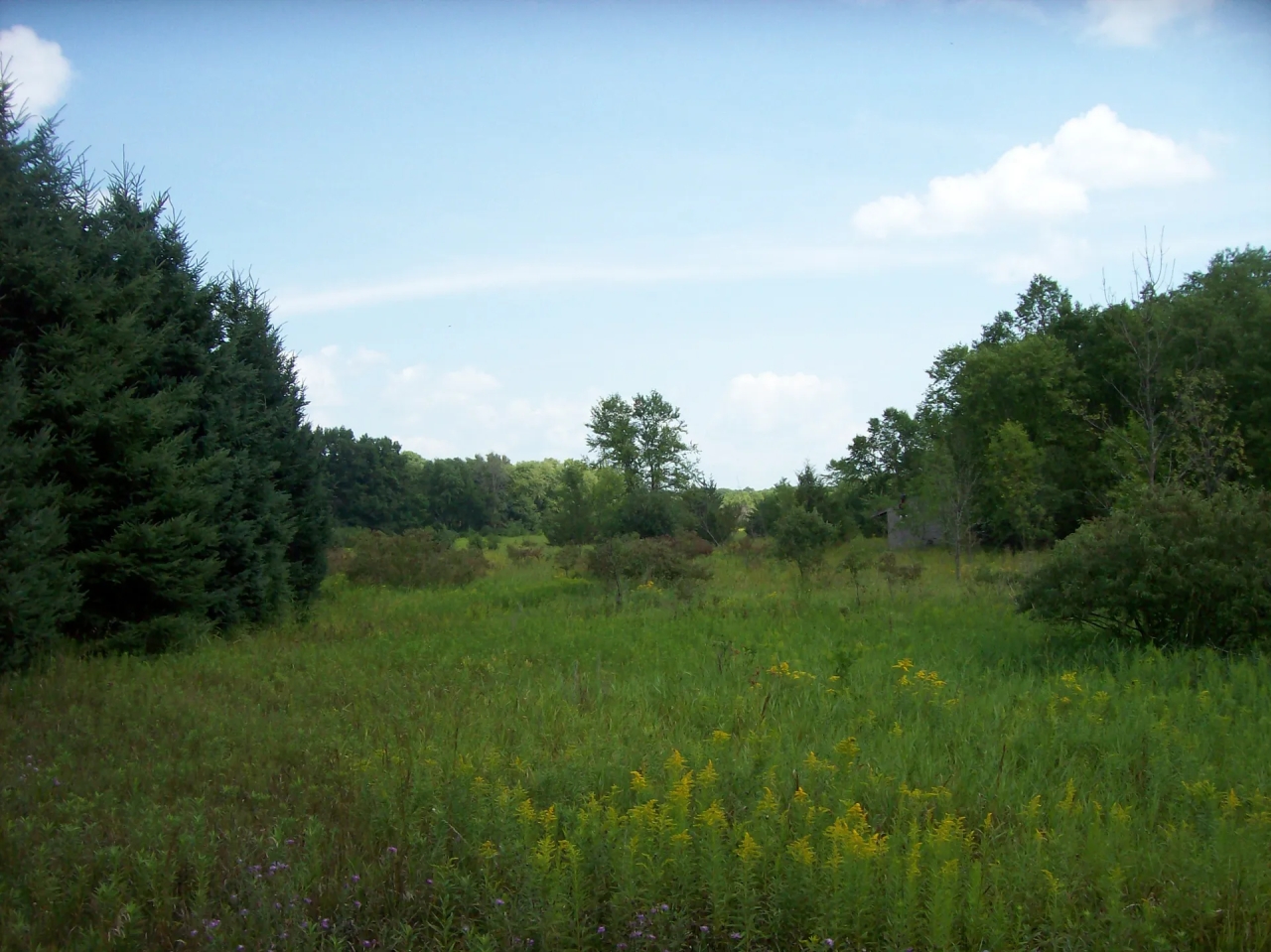 Trophy Whitetail Deer Hunting Property Columbia County WI - Hunting ...