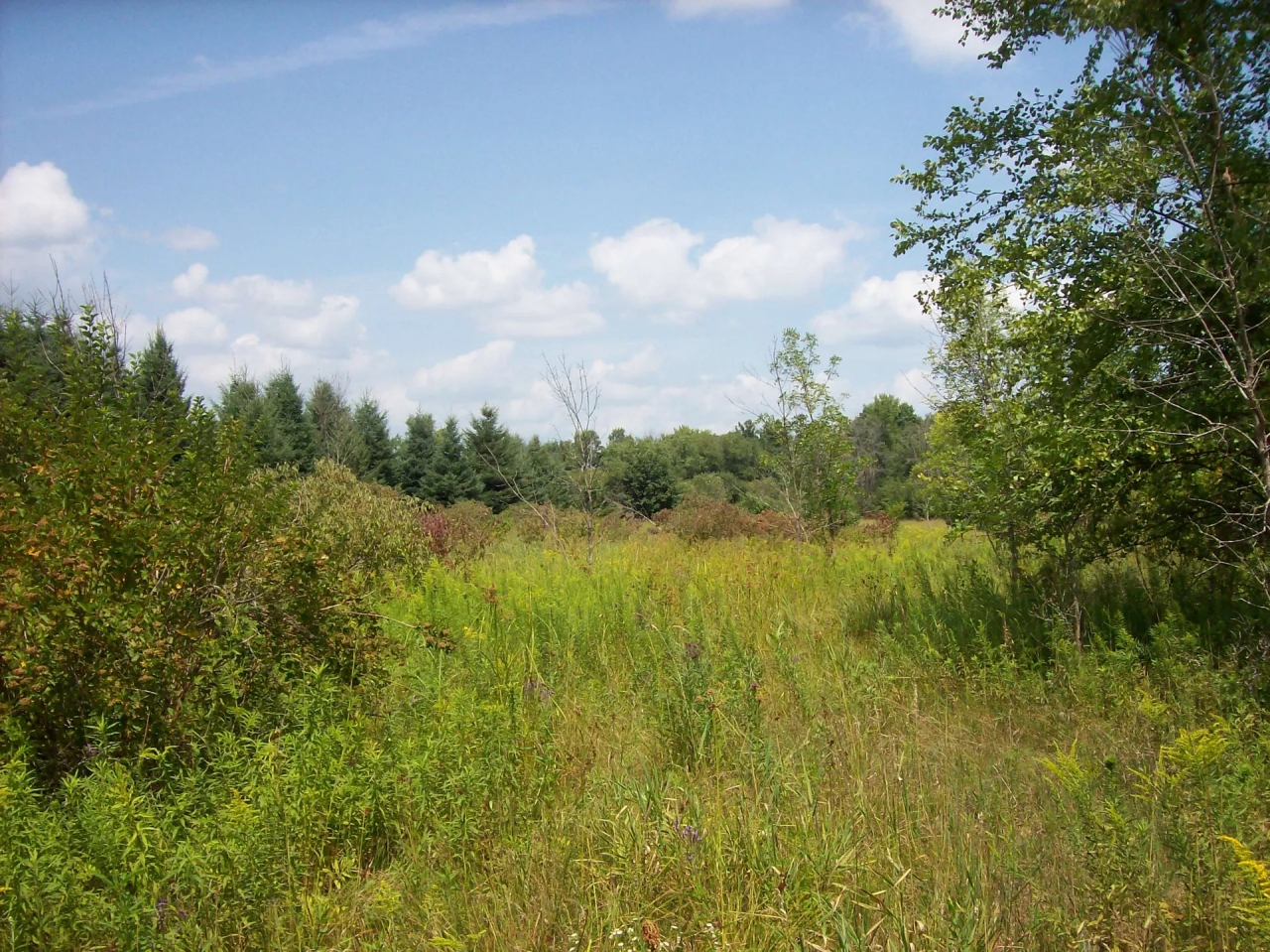 Trophy Whitetail Deer Hunting Property Columbia County WI - Hunting ...