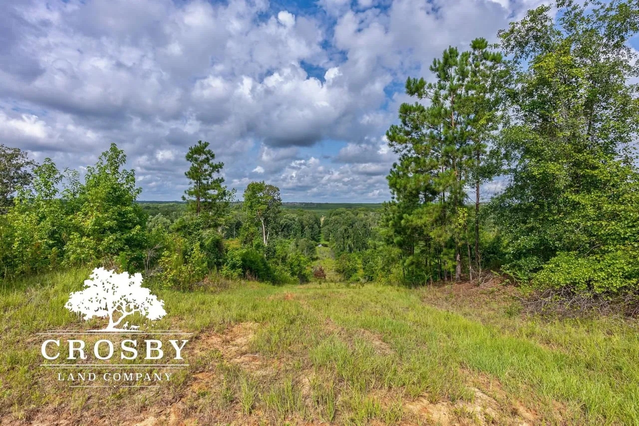 Rocky Comfort Creek - Hunting Land for Sale - HuntingLocator.com - HuntingLocator.com