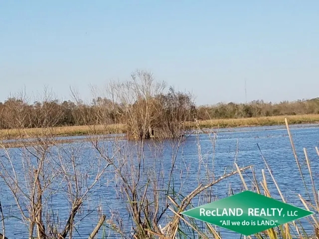 20.05 ac - Duck Hunting Crawfish Tract - Hunting Land for Sale ...