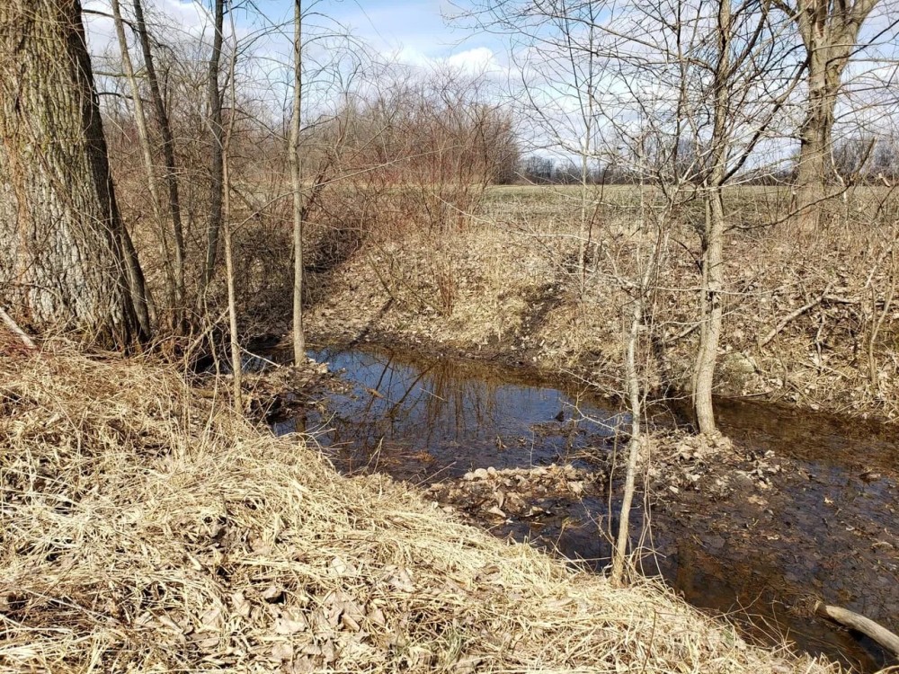 66.07 - acre secluded hunting getaway in Bangor MI. - Hunting Land for ...