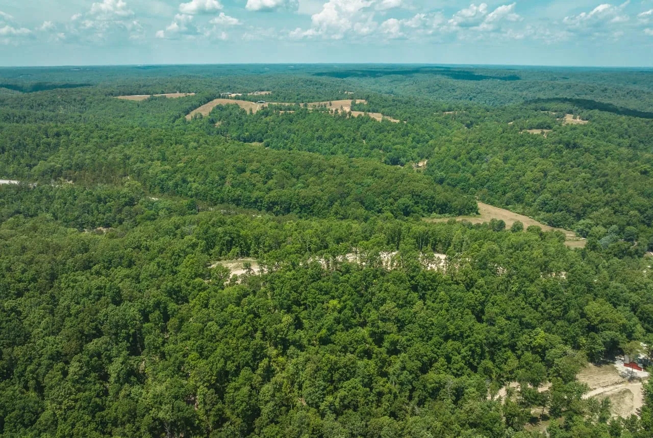 Centerville Haven - Hunting Land for Sale - HuntingLocator.com - HuntingLocator.com