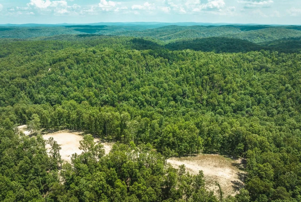 Centerville Haven - Hunting Land for Sale - HuntingLocator.com - HuntingLocator.com