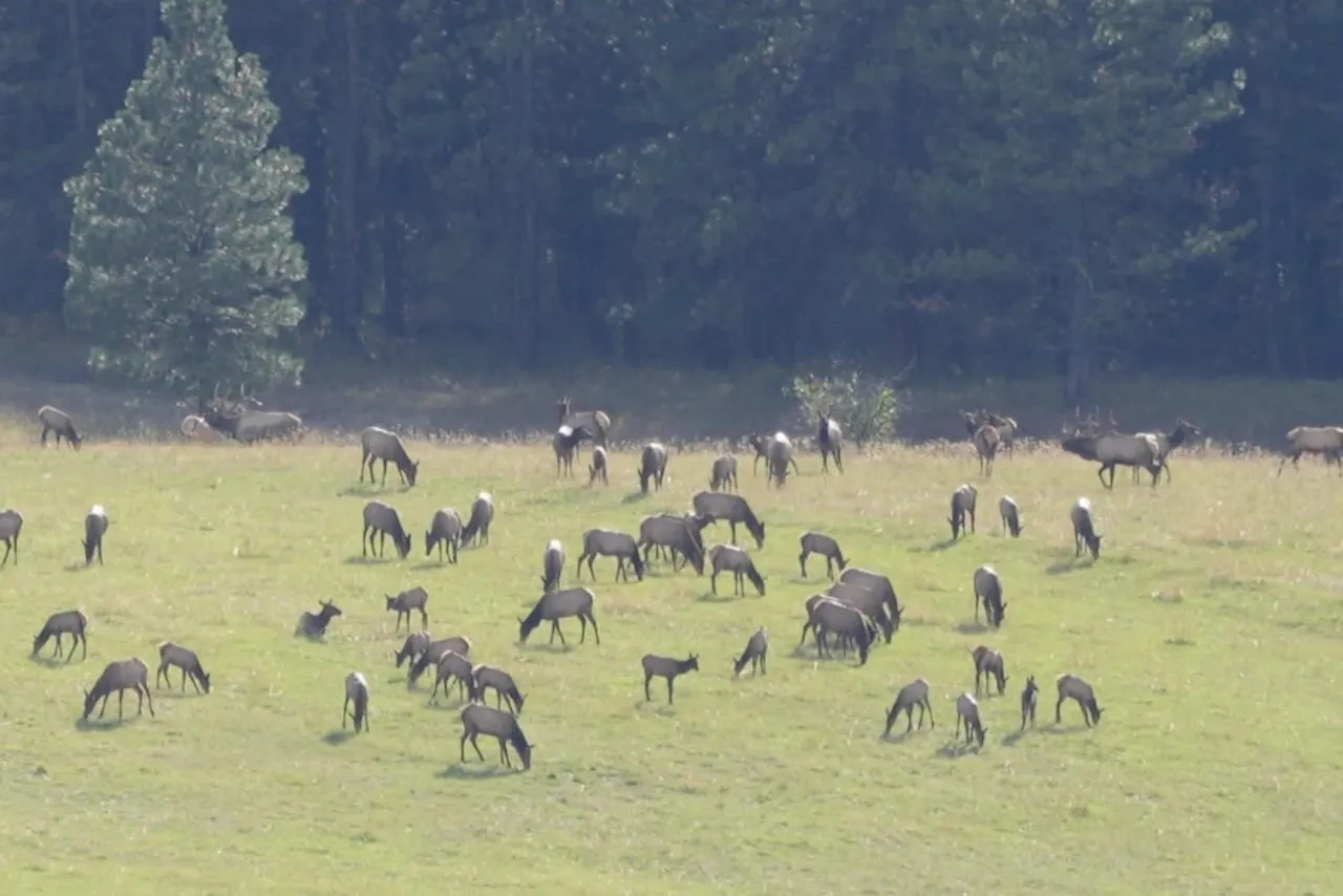 Shilo Ranch - Hunting Land for Sale - HuntingLocator.com ...