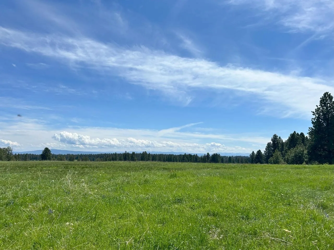 Boles Idaho Hunting Ranch - Hunting Land for Sale - HuntingLocator.com ...