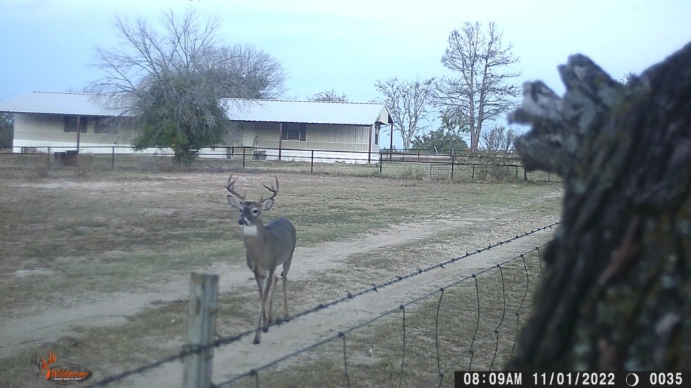 1690 CR 530 Evant Texas Riverfront Hunting Ranch - Hunting Land for ...