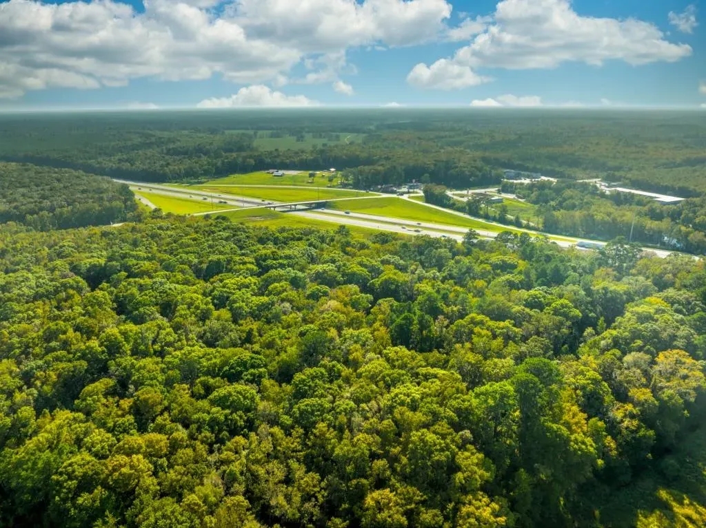 Sapelo River Tract - Hunting Land for Sale - HuntingLocator.com ...