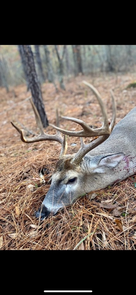 LA - Ouachita 42 acres - - Hunting Land for Sale - HuntingLocator.com - HuntingLocator.com