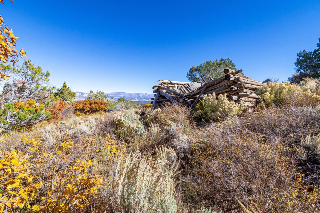 Mountain Meadows Ranch - Hunting Land for Sale - HuntingLocator.com ...