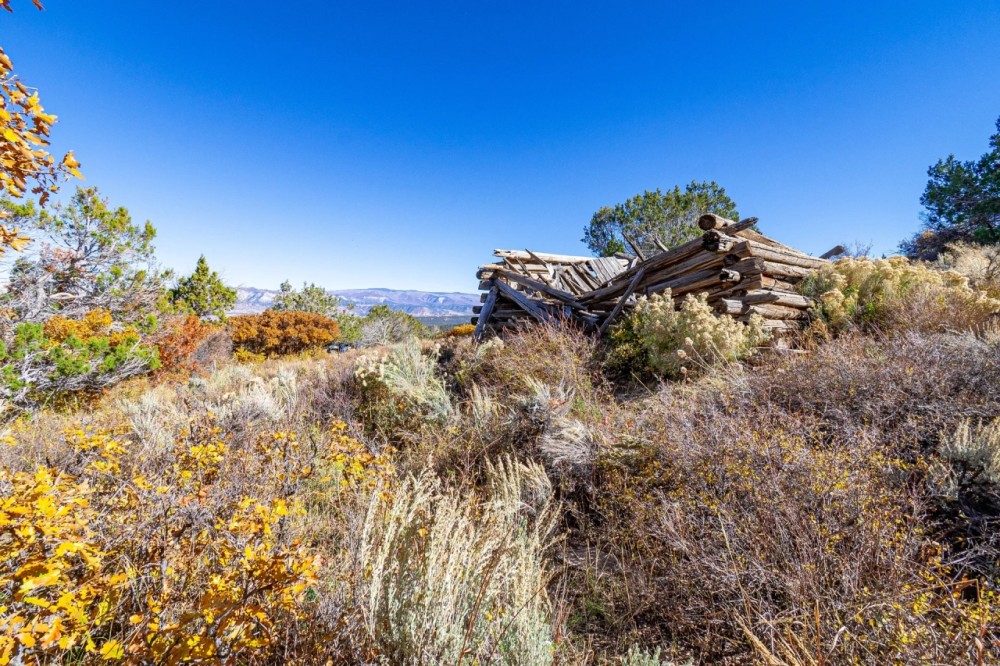 Mountain Meadows Ranch - Hunting Land for Sale - HuntingLocator.com ...